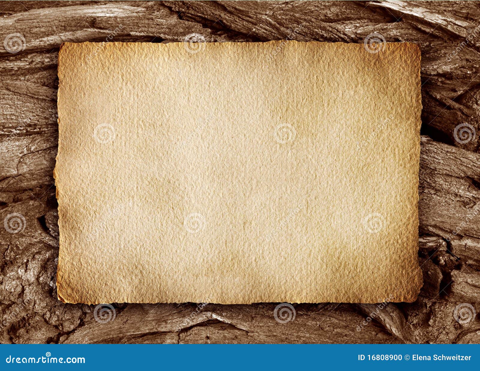 What Is Parchment Wood at Denise Alfred blog