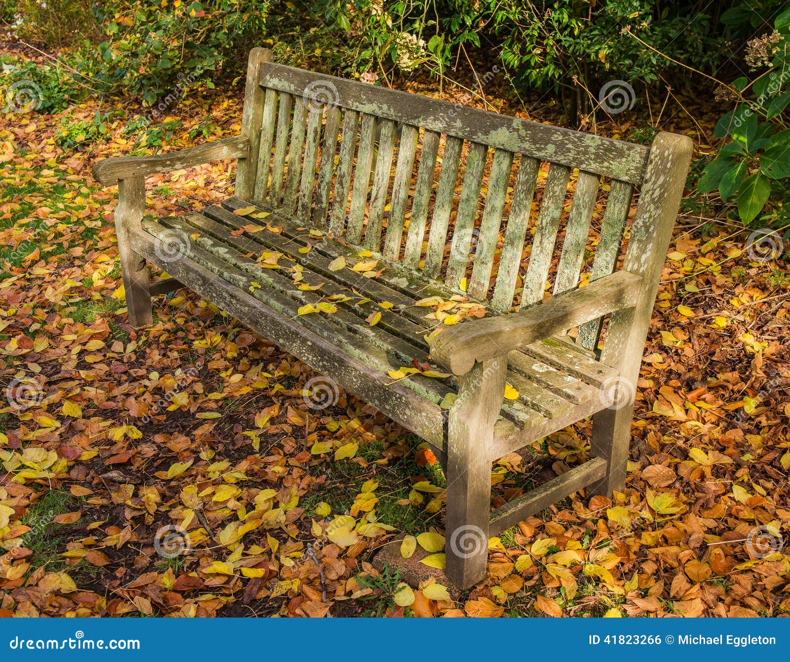 Old Park Bench stock photo. Image of dappled, park, fall - 41823266