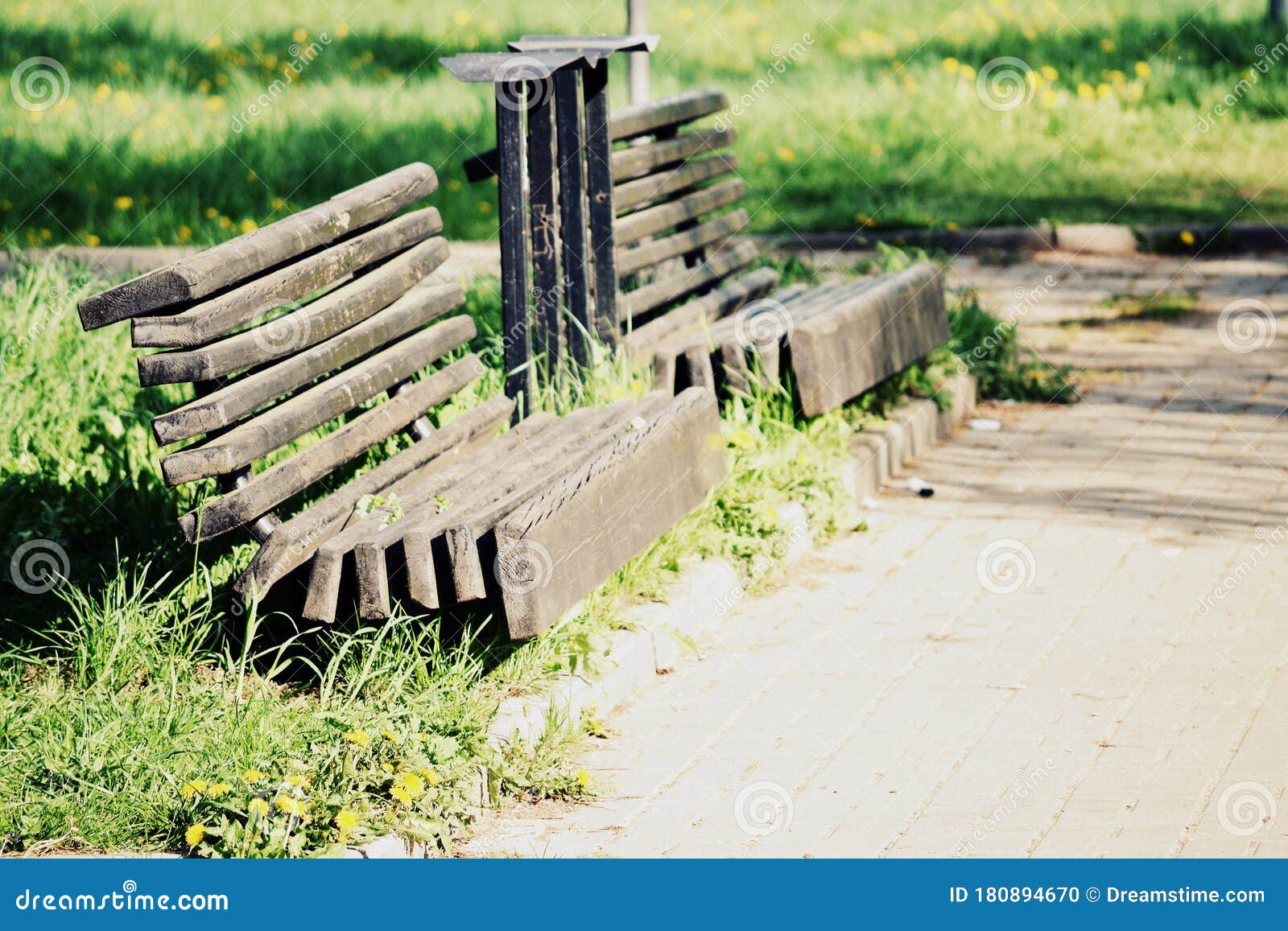 Old park benches. stock photo. Image of grass, yellow - 180894670