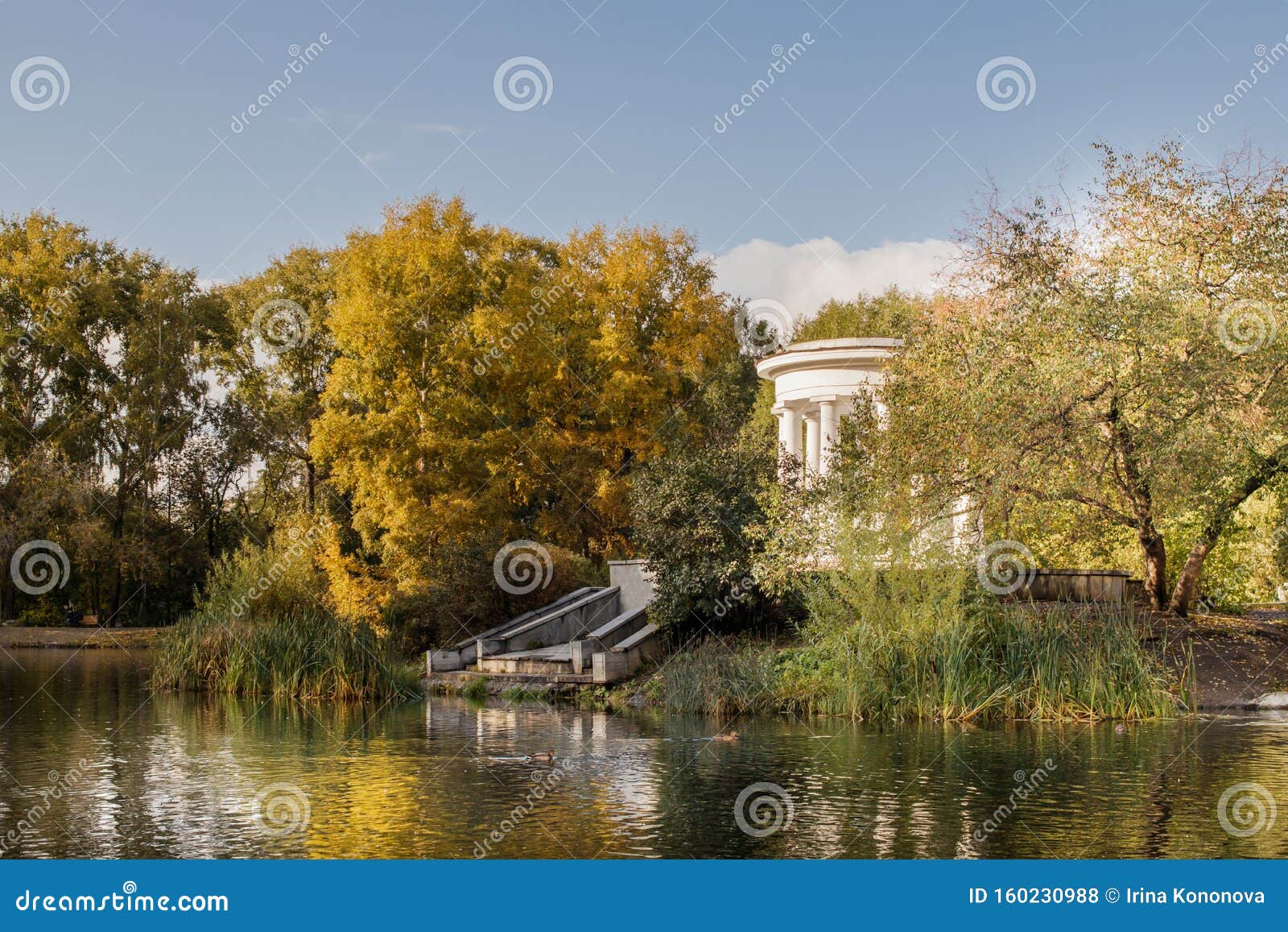 Old Park in Fall. View of Lake and White Rotunda Stock Photo - Image of ...