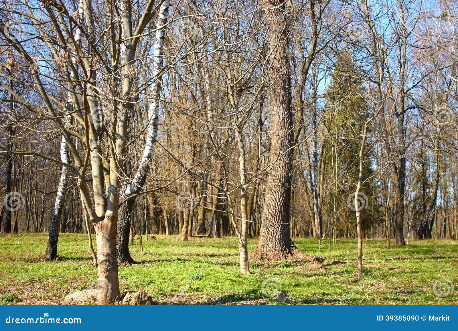 Old Park in a Fine Early Spring Day Stock Photo - Image of earth ...
