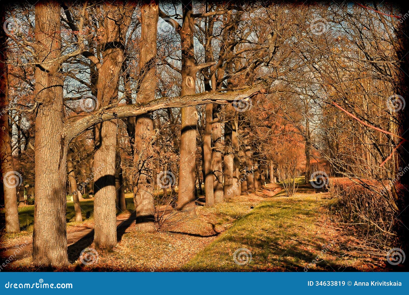 Old Park on a Sunny Autumn Day Stock Image - Image of morning ...