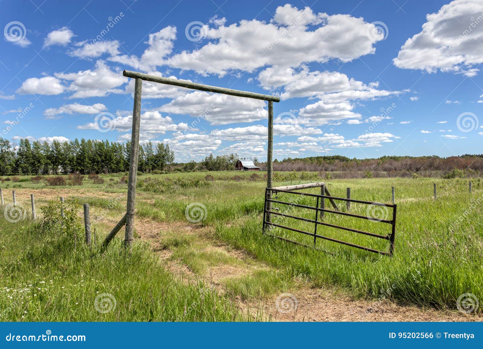 Old pasture gate stock photo. Image of horizontal, meadow - 95202566