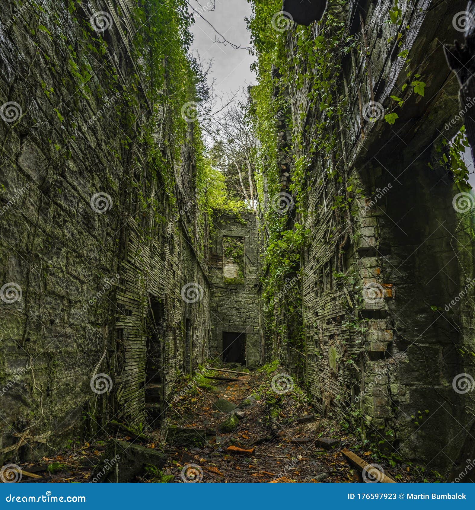 Old Path between High Green Walls Stock Image - Image of landscape ...