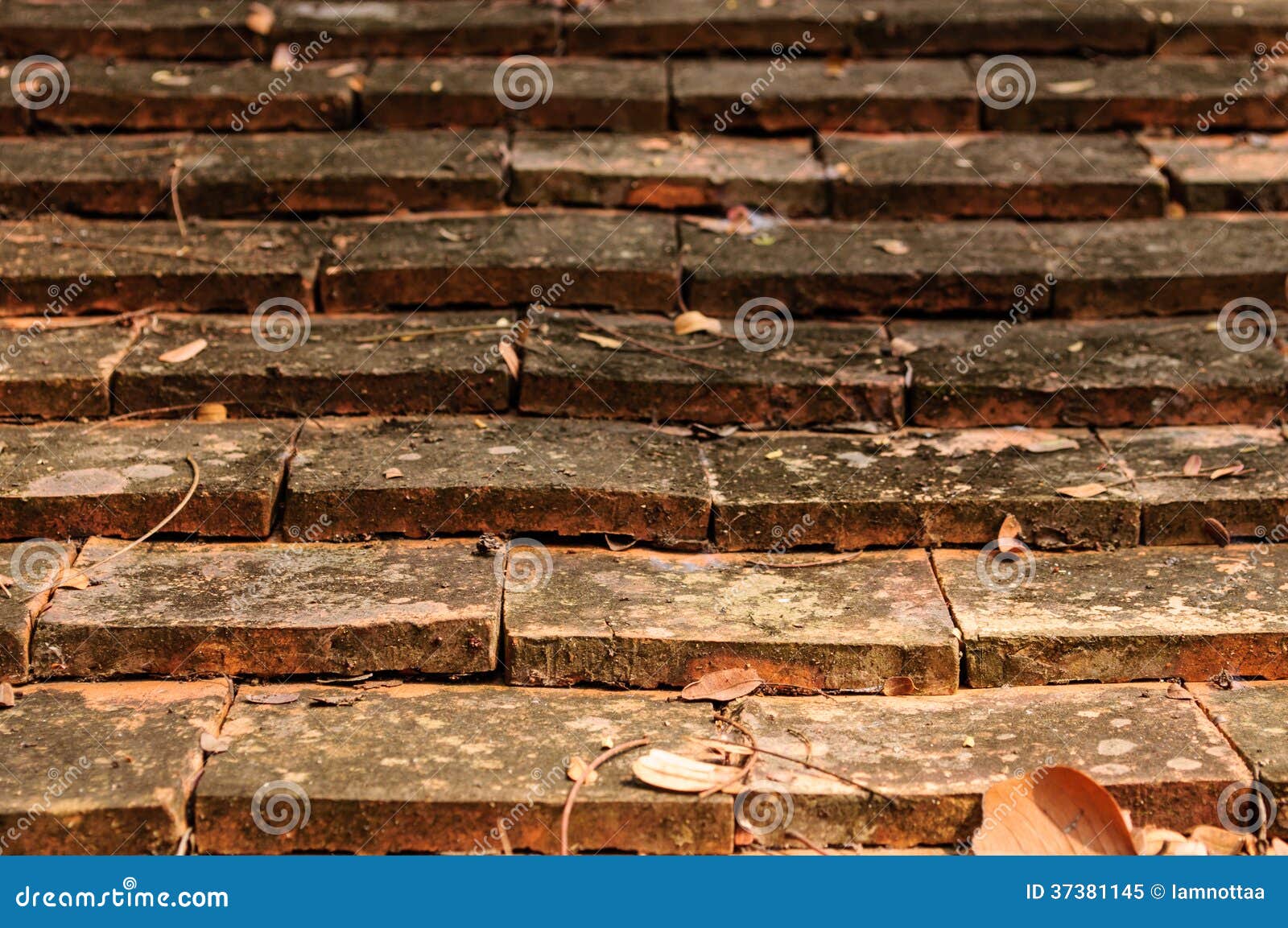 Old Path stock image. Image of pattern, street, architecture - 37381145