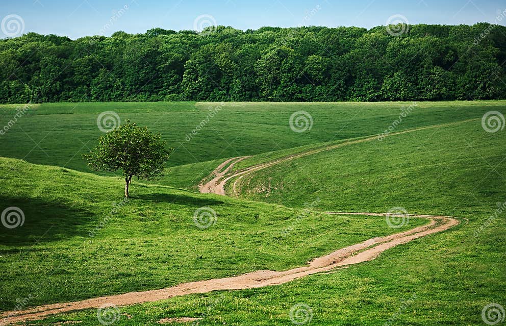 And Old Path Wandering between Green Fields Stock Photo - Image of ...