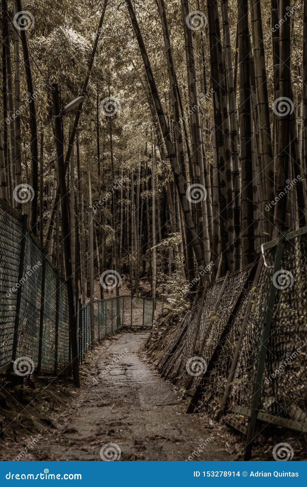 Gray Path that Leads To the Mountain with Rusty Fences and Long Curved ...