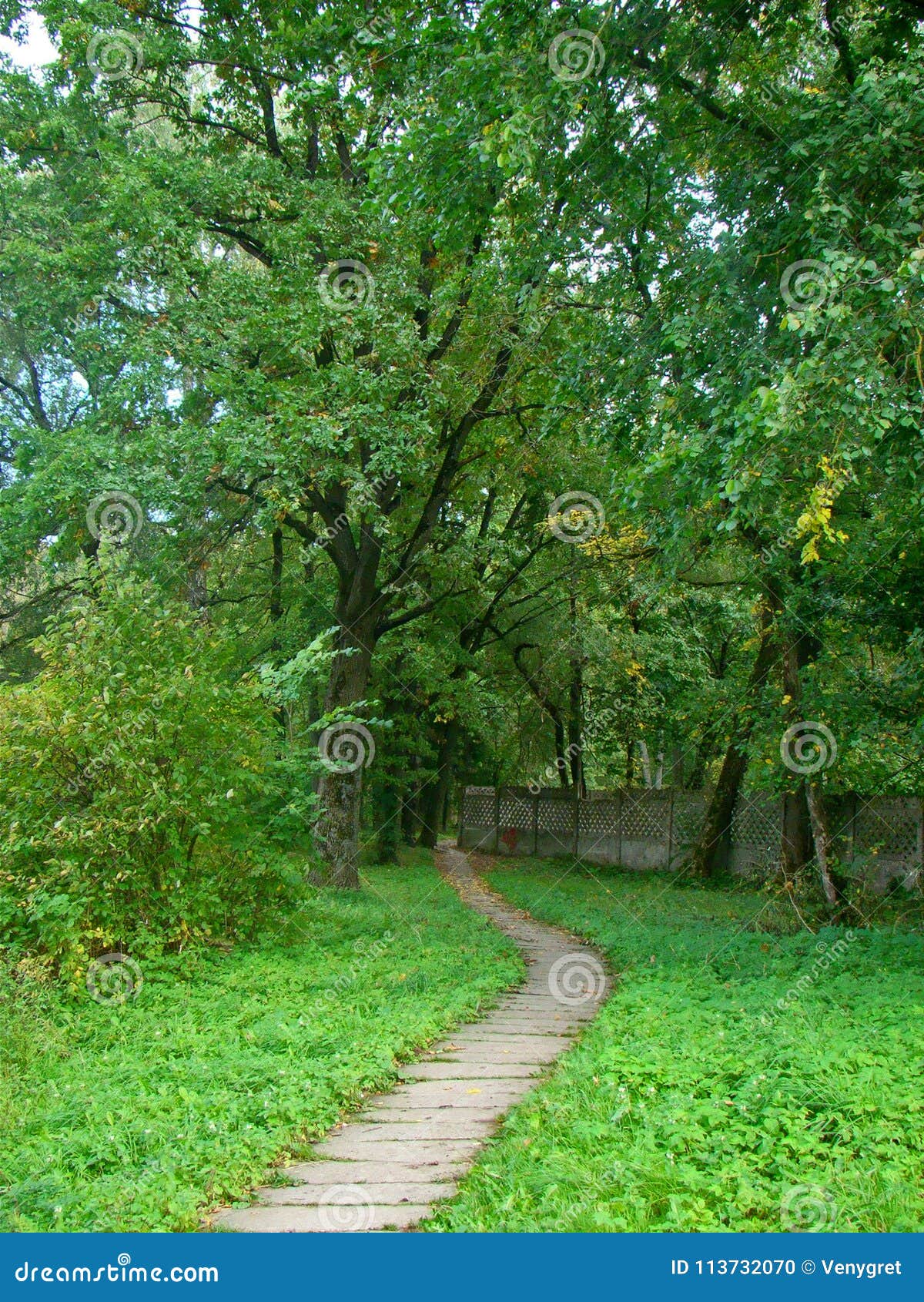 Old pathway in the park stock photo. Image of forest - 113732070