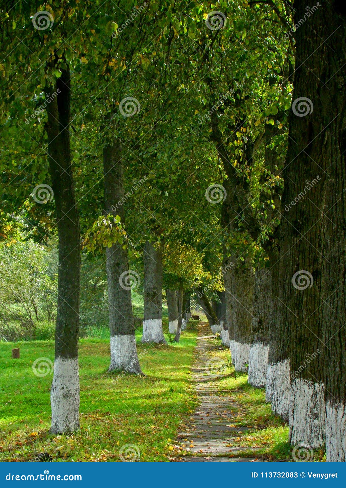 Old pathway in the park stock image. Image of nature - 113732083
