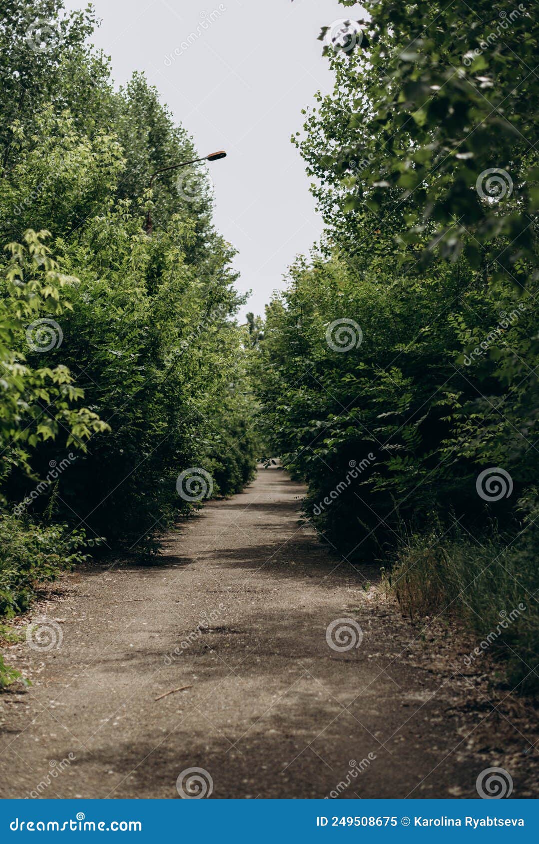 An Old Paved Dilapidated Road Stock Image - Image of autumn, lawn ...