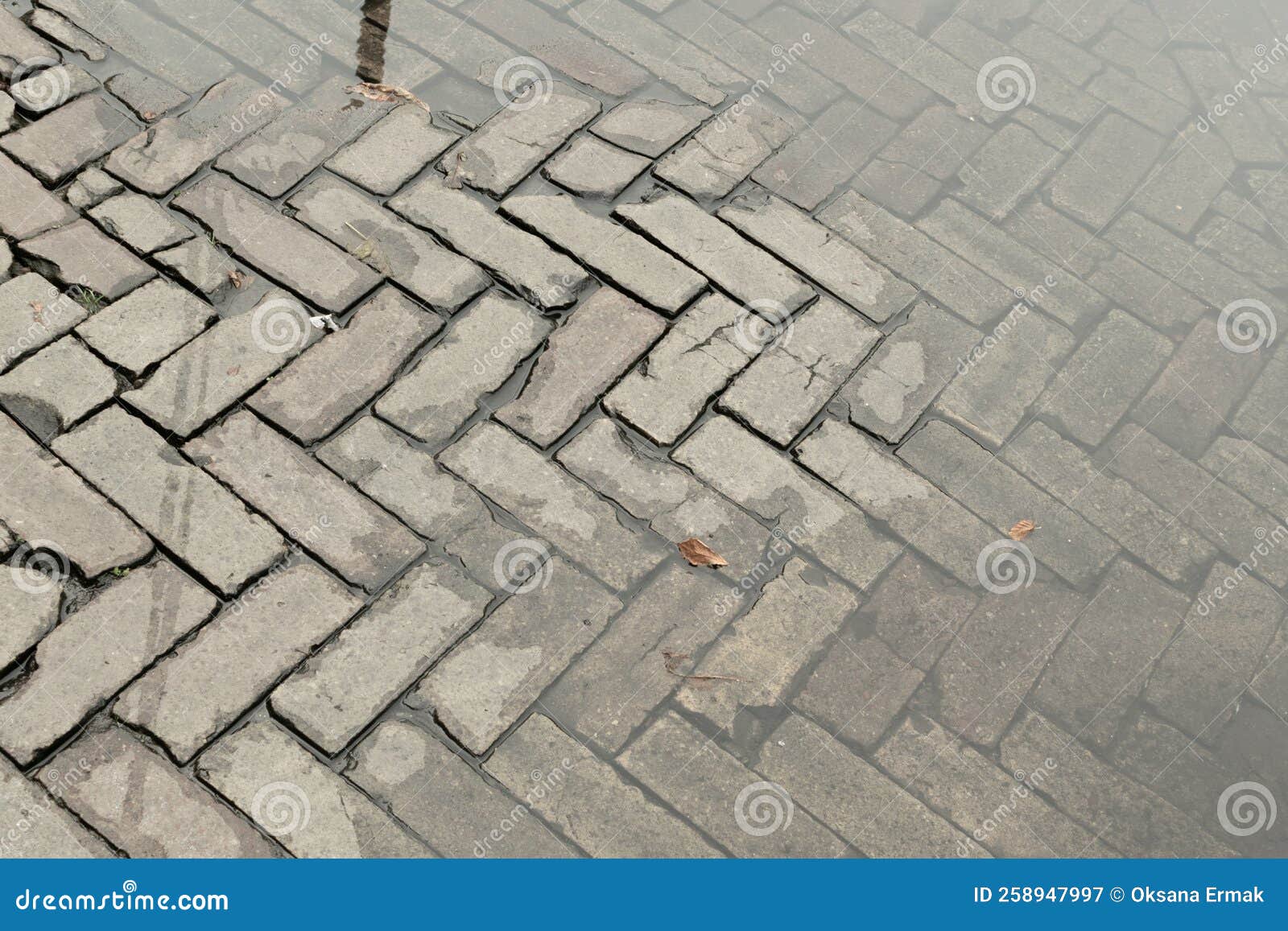 Old Paved Path with a Puddle Stock Image - Image of ground, space ...