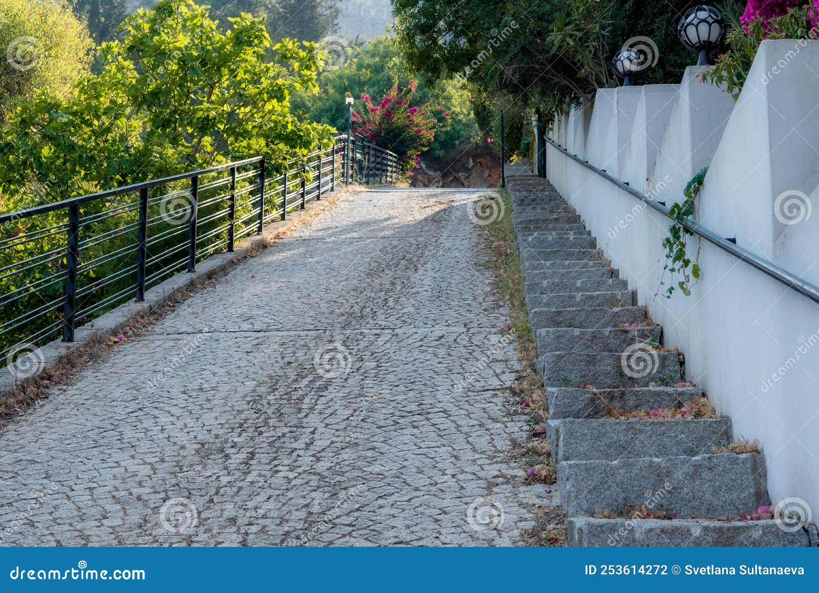 Old Paved Road and Pedestrian Stairs Surrounded by Greenery Stock Photo ...