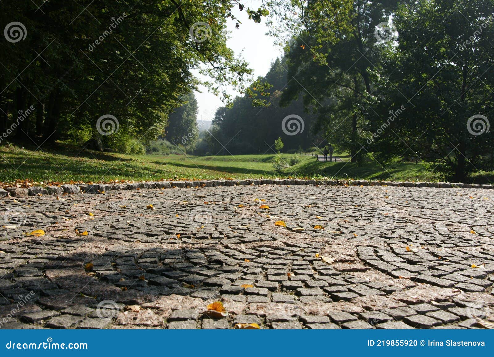 Old pavement in a park stock photo. Image of lawn, park - 219855920