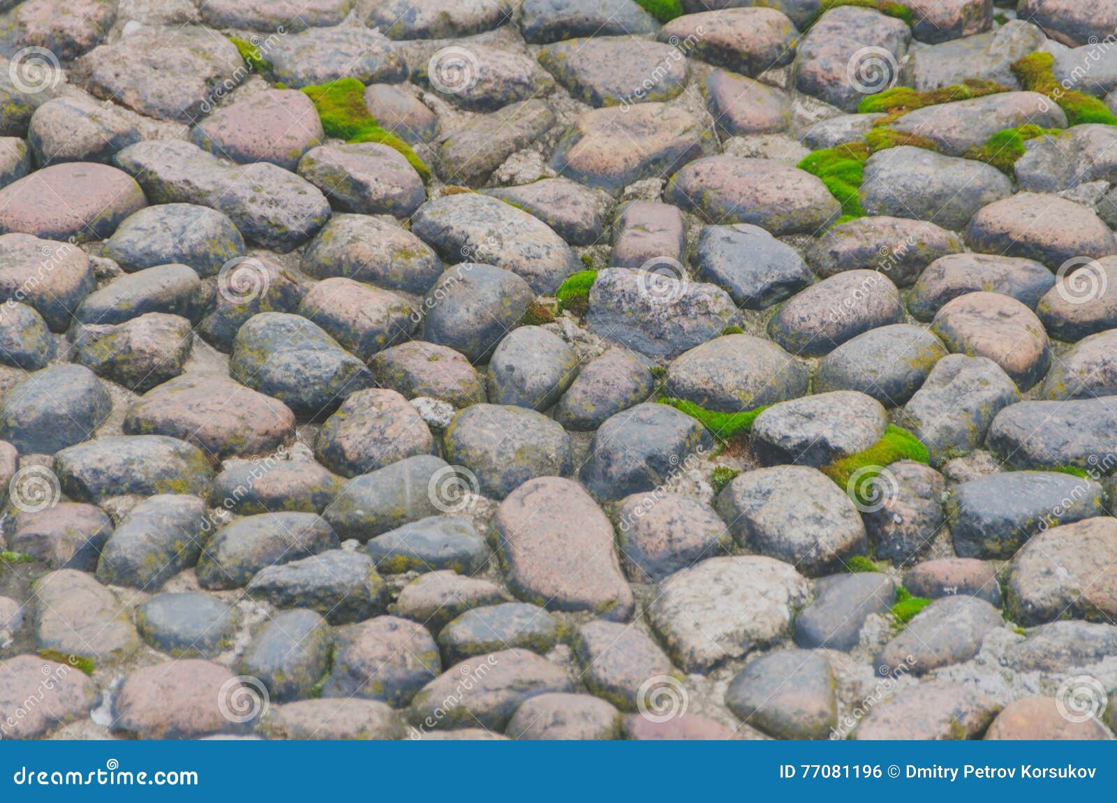 Old Pavement Texture and Background Closeup Stock Photo - Image of ...