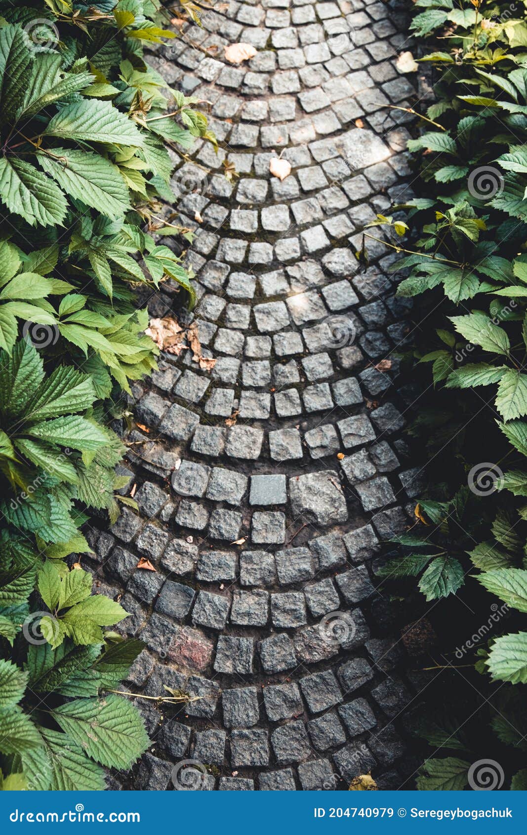 Old Paving Stones. Gray Rectangular Stones Laid Like Tiles. Damp ...