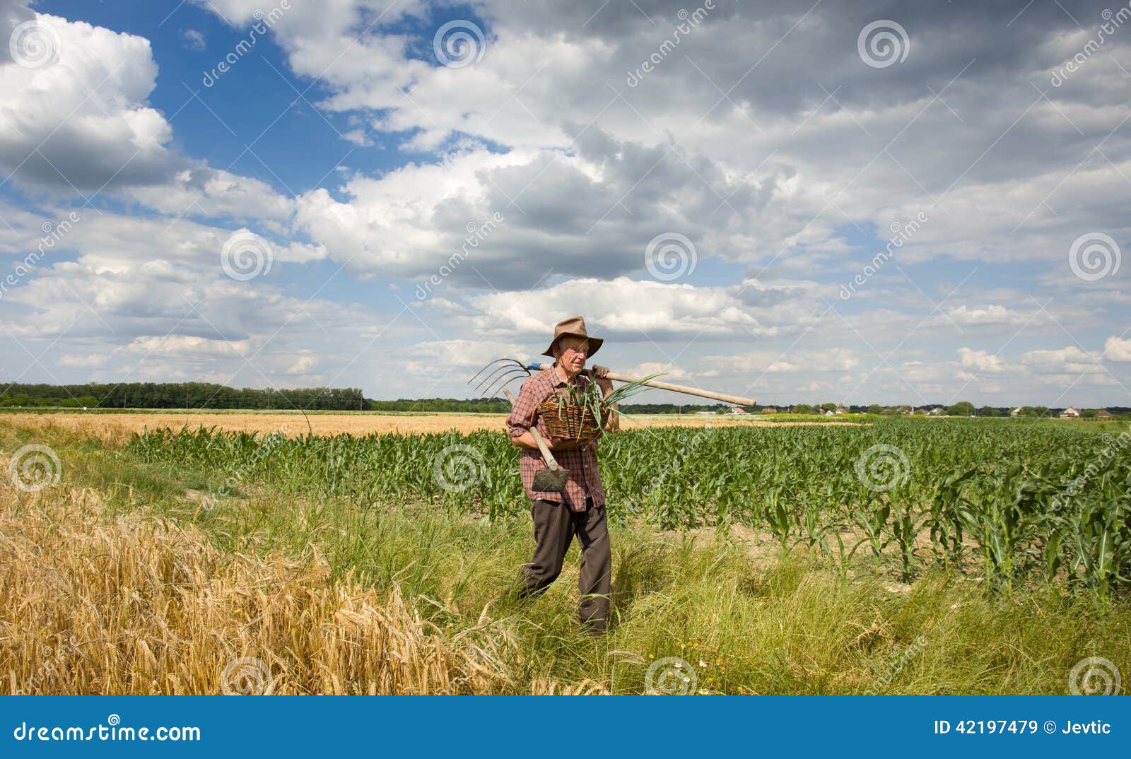 Old peasant stock image. Image of equipment, farming - 42197479