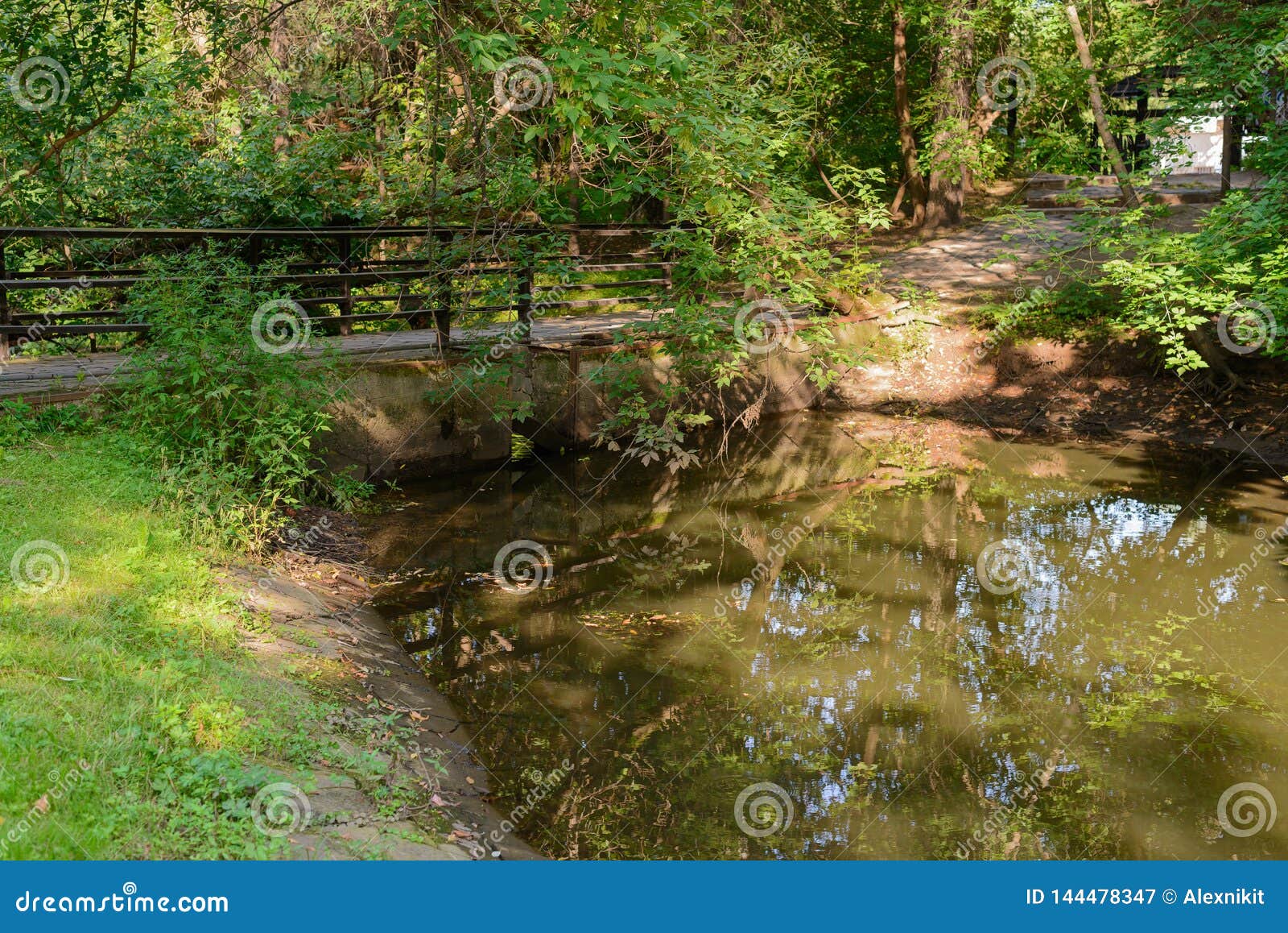 Old Pedestrian Bridge Over a Pond in the Forest on a Summer Stock Image ...