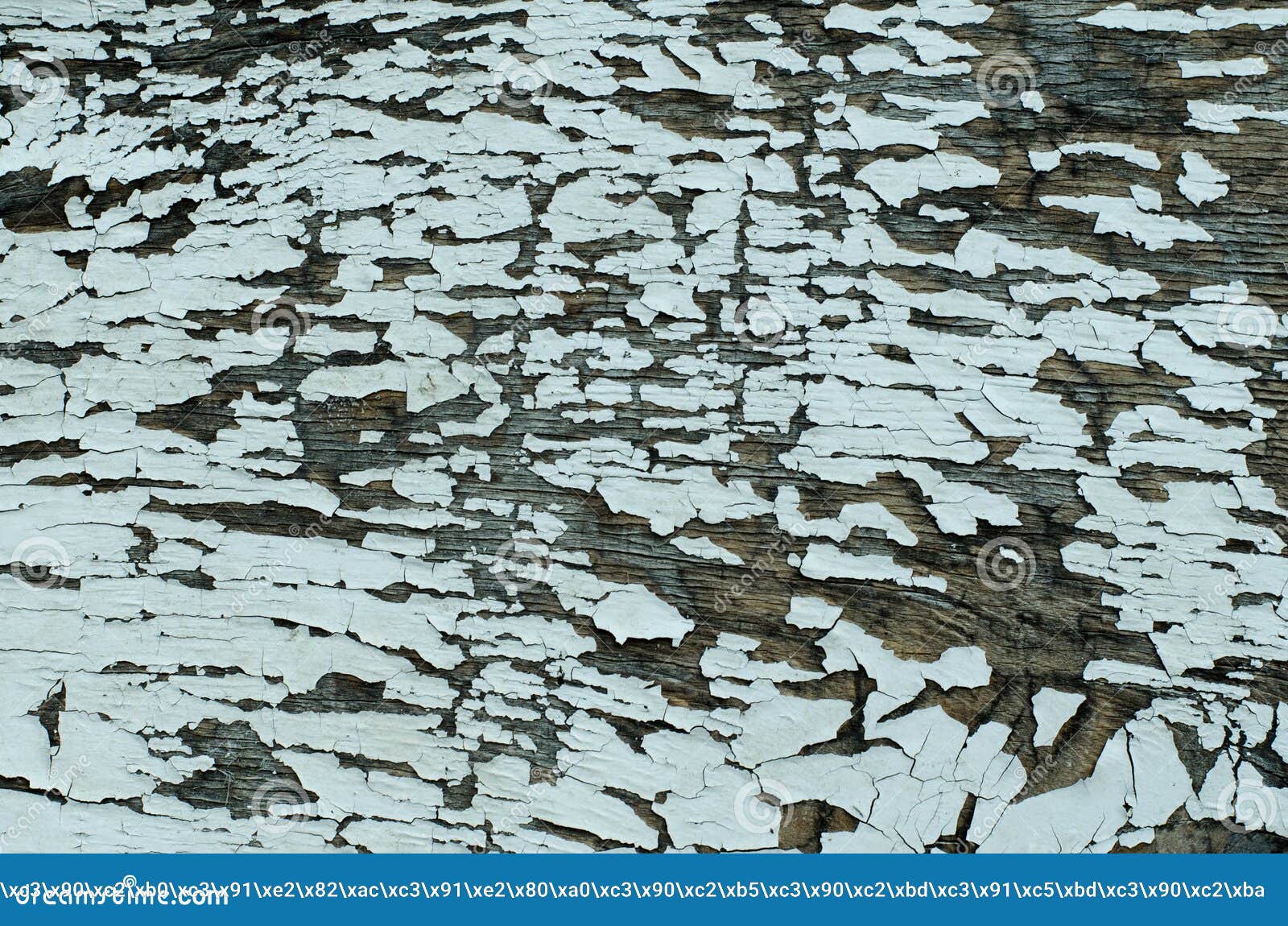 Old Peeling Paint on a Wooden Door. Cracked Paint. Tree Structure ...
