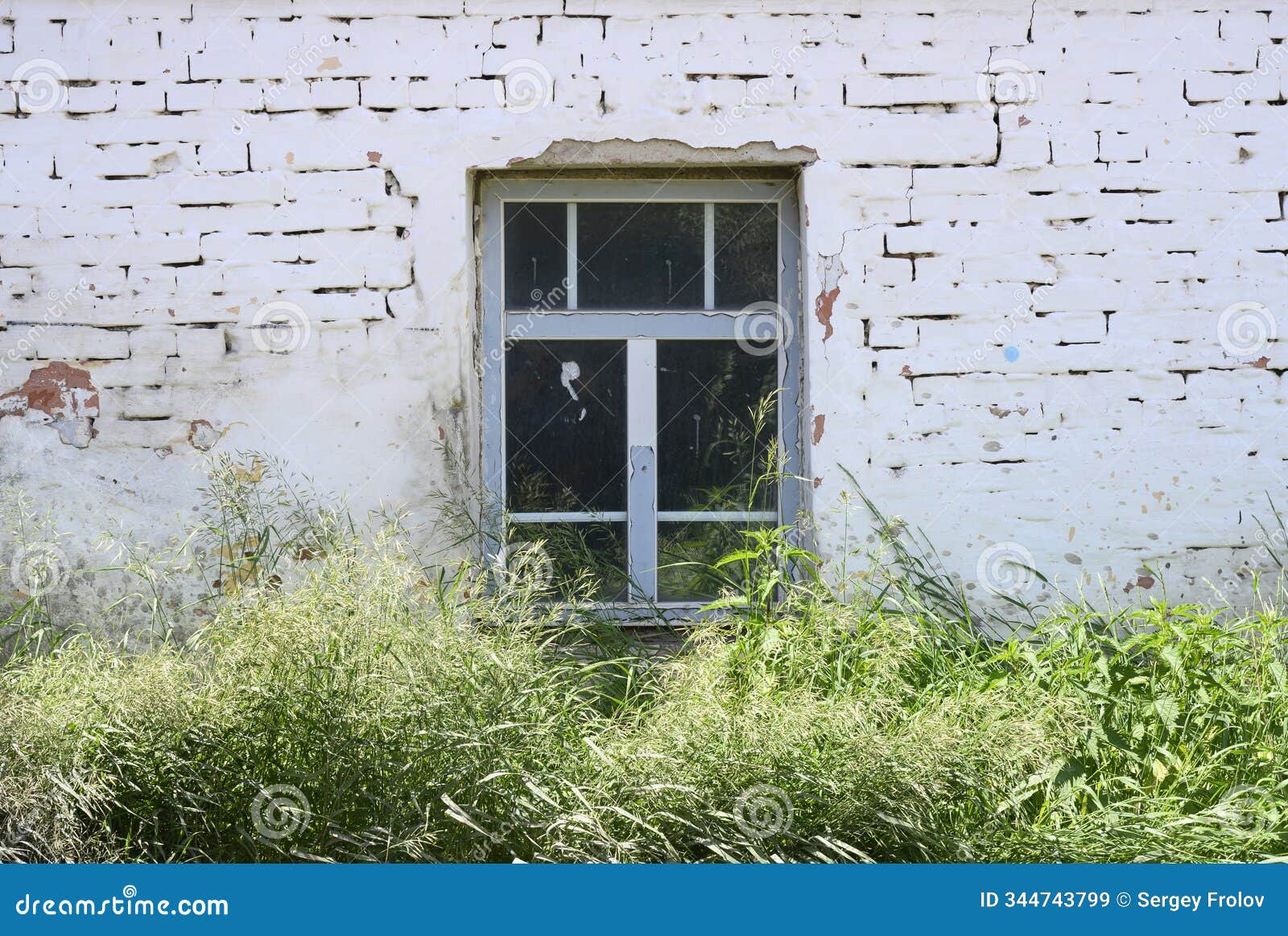 An Old Peeling Window on a Whitewashed Brick Wall Overgrown with Grass ...