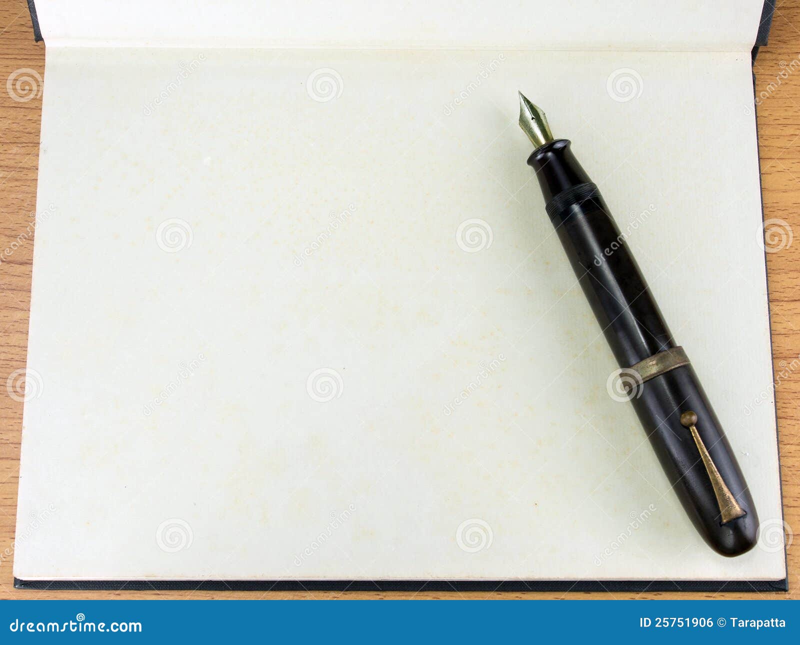 Old Pen stock photo. Image of aged, document, bibliography - 25751906