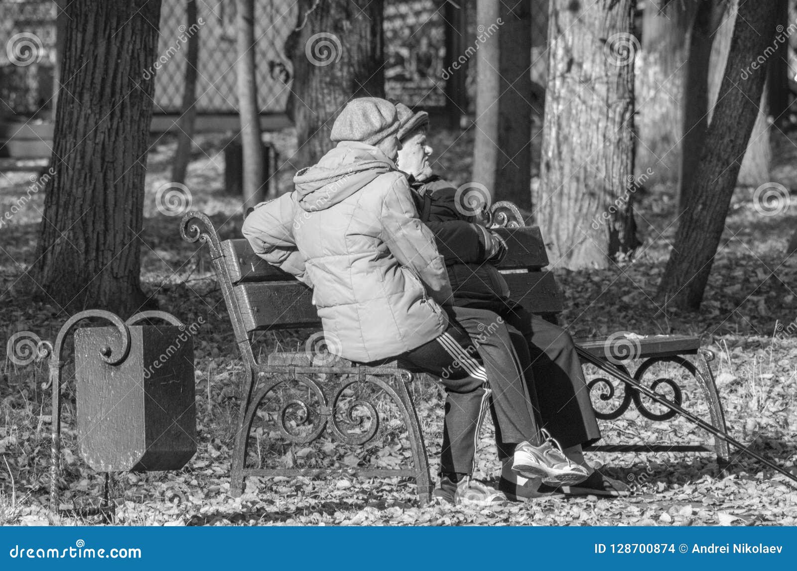 Old People on a Bench in the Park Editorial Stock Image - Image of ...