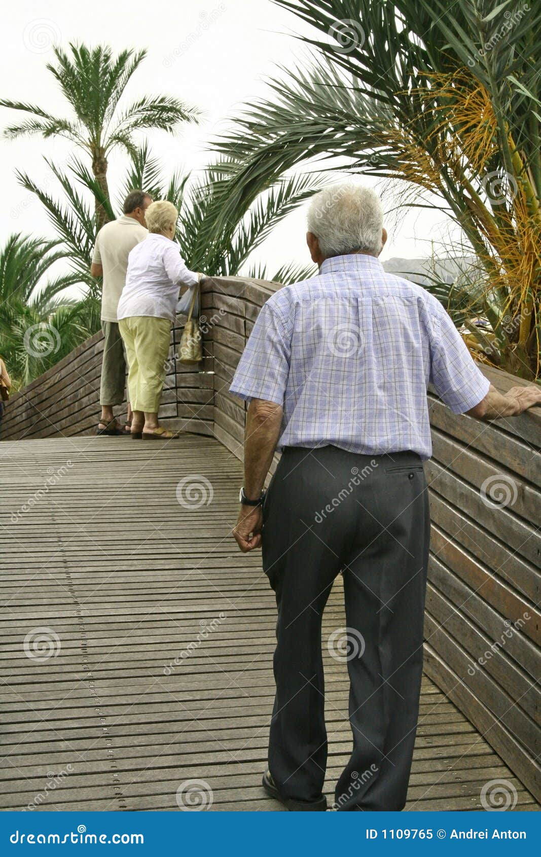 Old people2 stock image. Image of trees, walking, seniors - 1109765