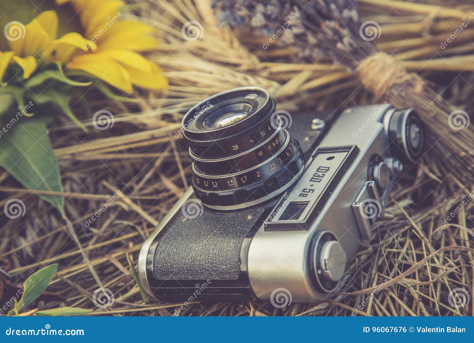 Old Photo Camera in a Grass. Stock Photo - Image of smile, photographer ...