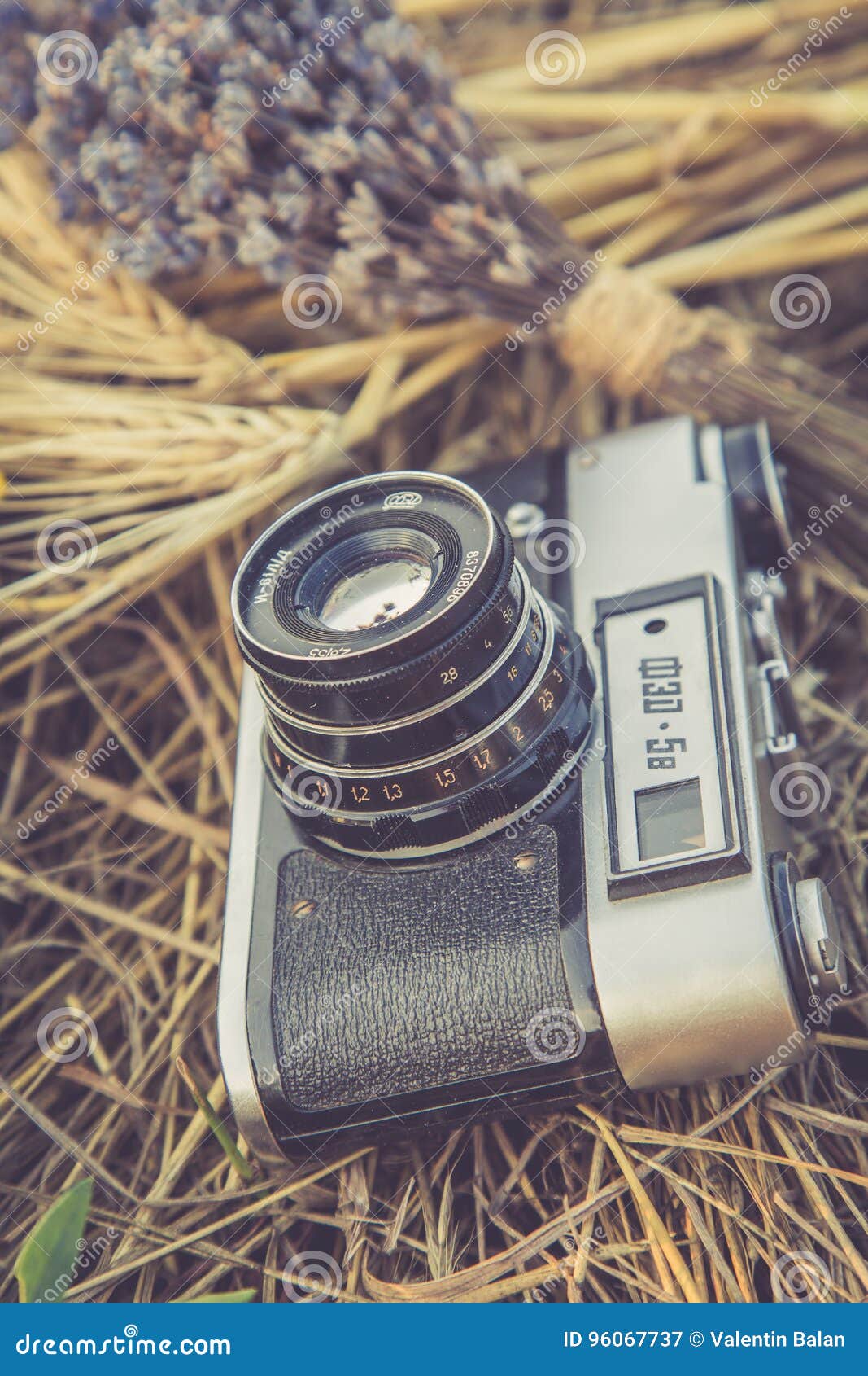 Old Photo Camera in a Grass. Stock Image - Image of edit, grass: 96067737