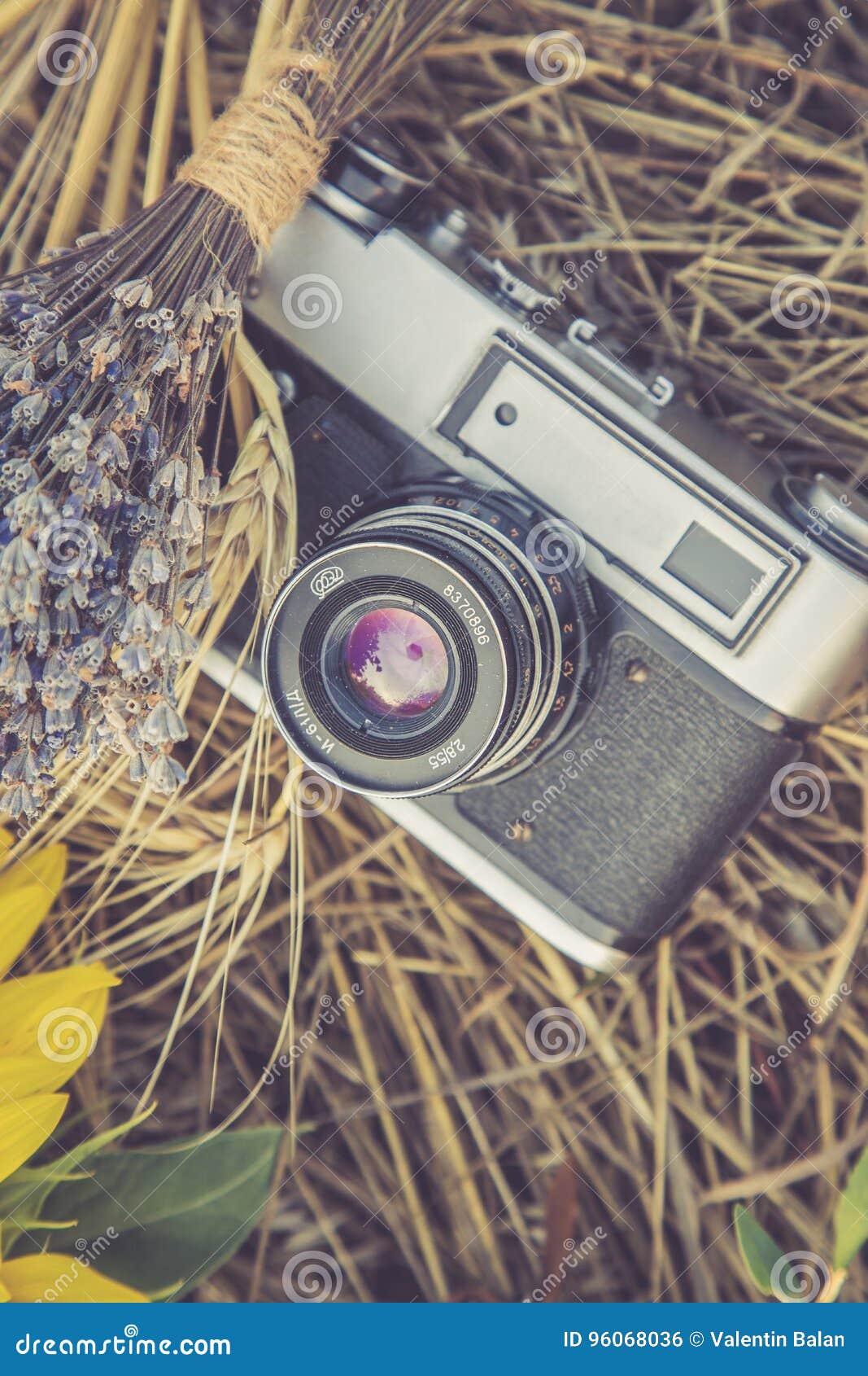 Old Photo Camera in a Grass. Stock Photo - Image of digital, girls ...