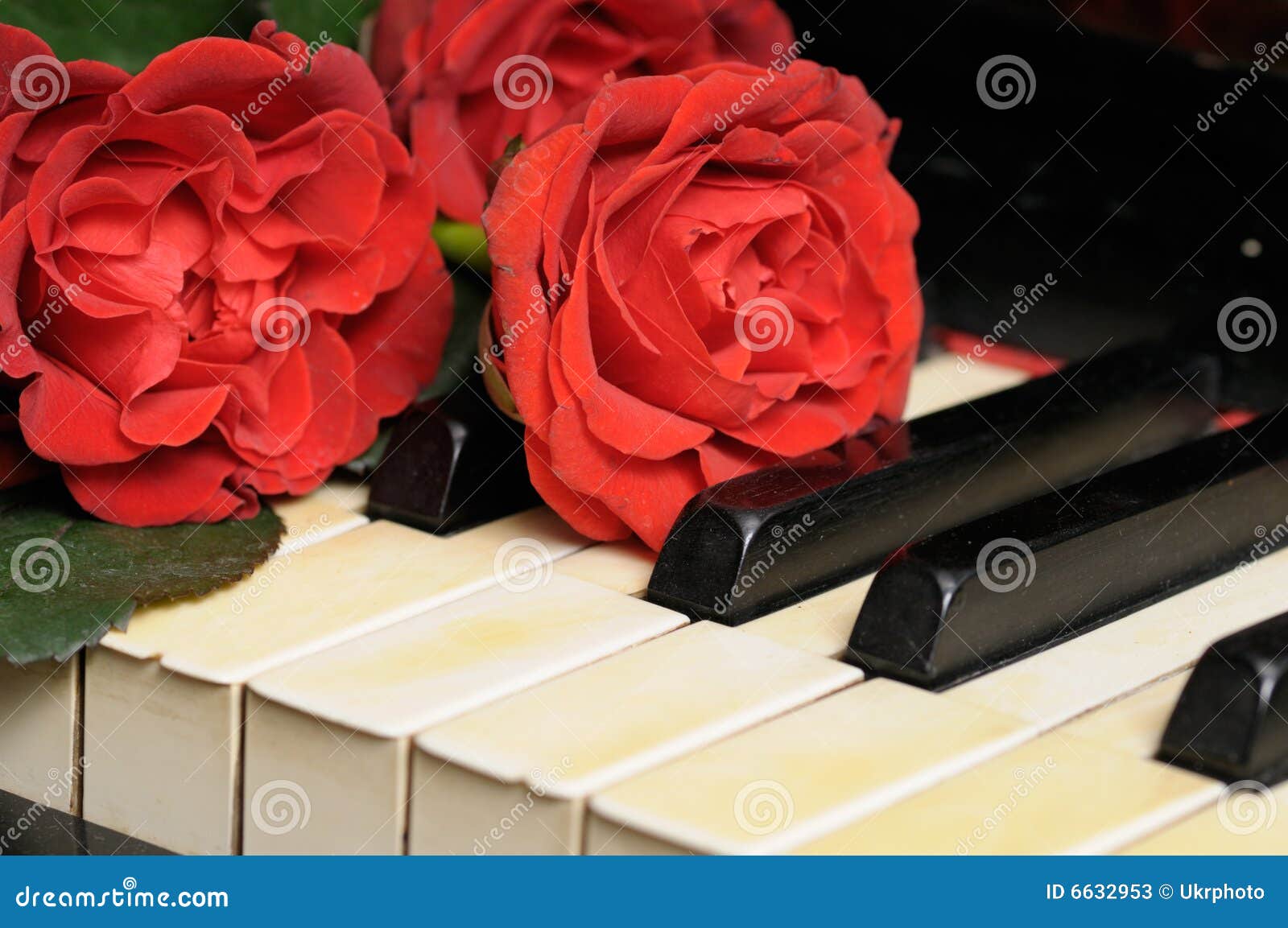 Old Piano with Red Roses stock image. Image of flower - 6632953