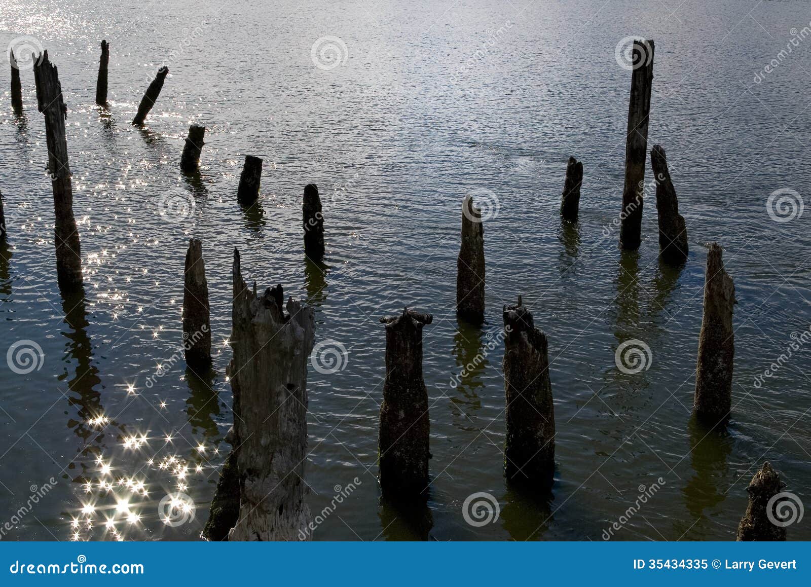Old pier posts stock image. Image of nautical, florence - 35434335
