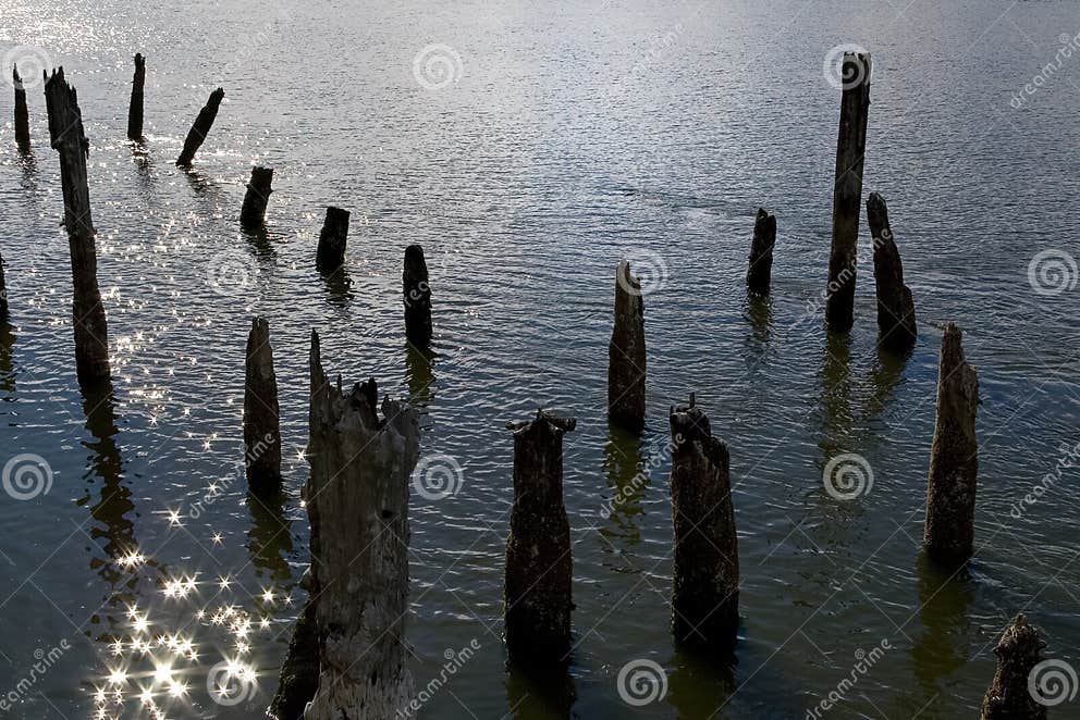 Old pier posts stock image. Image of nautical, florence - 35434335