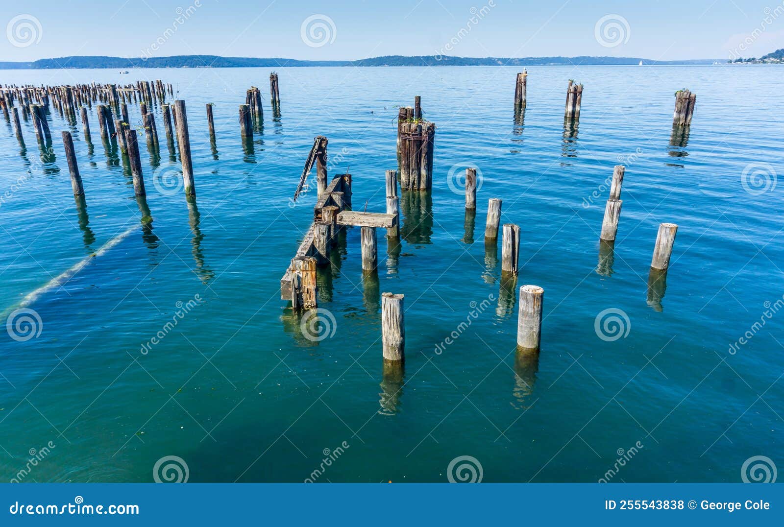 Waterfront Park Pilings 3 stock photo. Image of ruston - 255543838