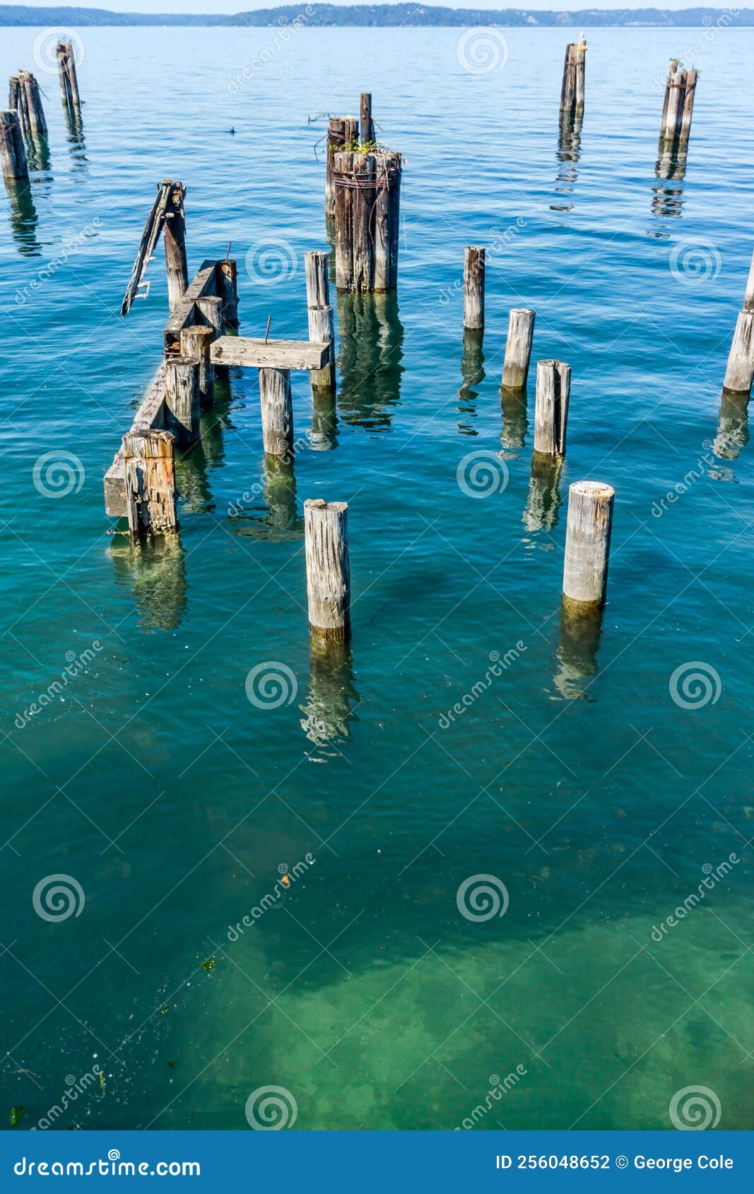 Waterfront Park Pilings stock photo. Image of washington - 256048652