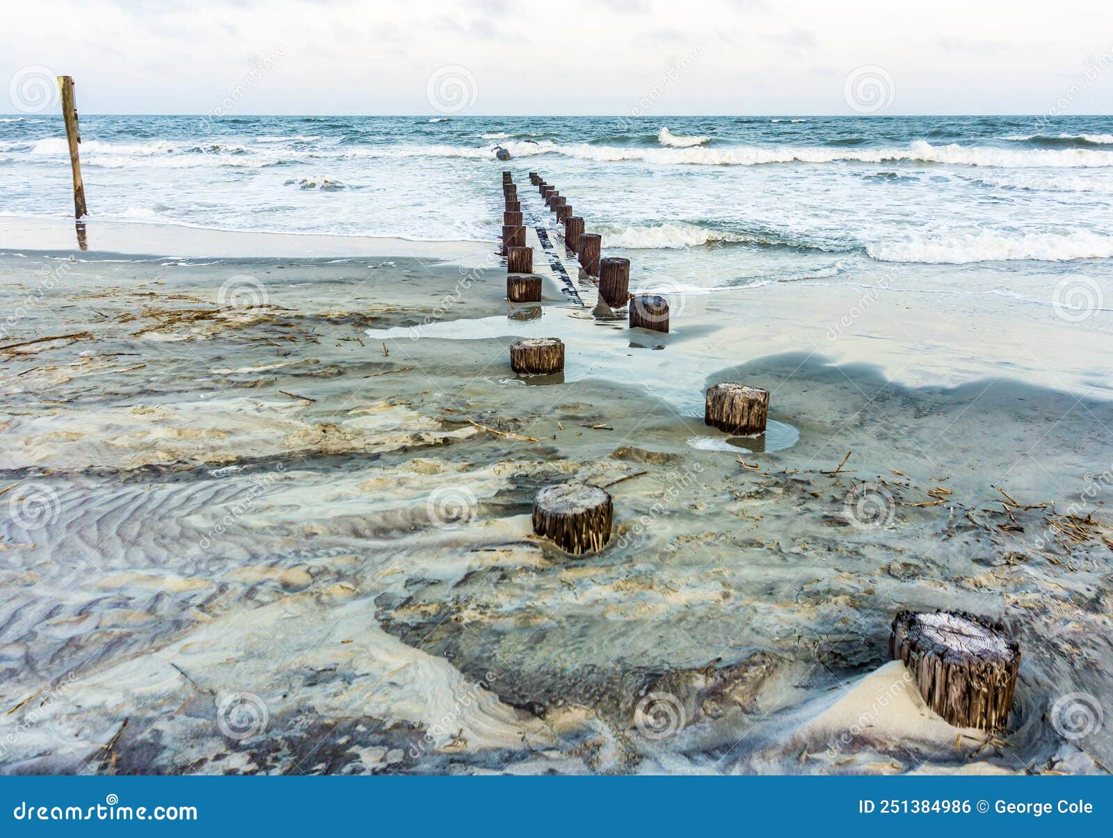 Folly Beach Pilings stock photo. Image of ocean, folly - 251384986