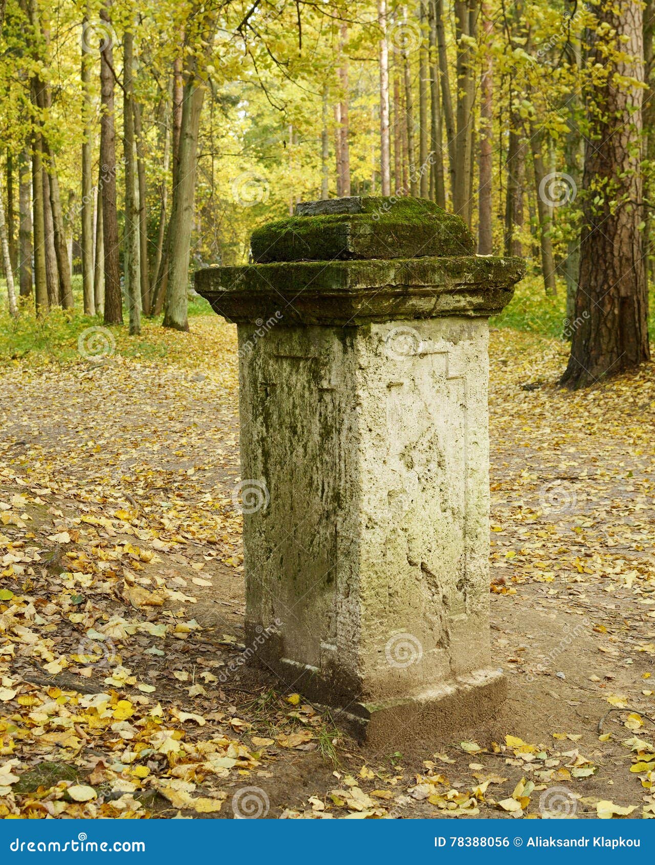 An Old Pillar in the Woods. Stock Photo - Image of moss, ancient: 78388056