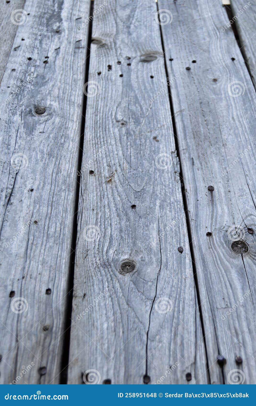 Old Pine Wood, Can Be Used As Background, Old Wood Grain Texture Stock ...