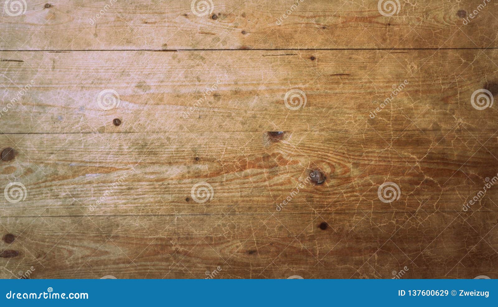 A Pattern Of Oak Wood. Wood Grain Texture. Cross Section Of A Tree ...