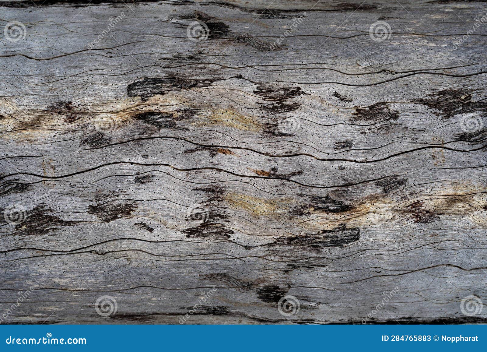Old pine wood texture stock image. Image of desk, grain - 284765883