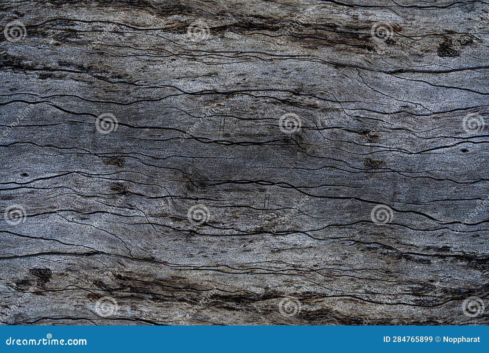 Old pine wood texture stock image. Image of rough, decor - 284765899