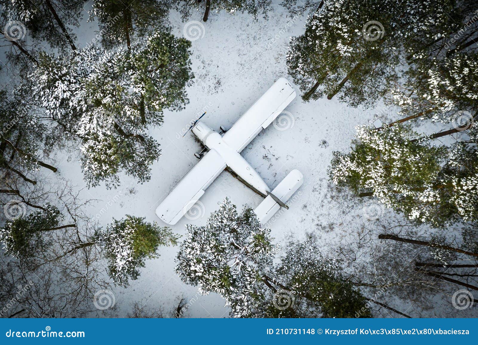 Old plane in the forest stock photo. Image of forest - 210731148