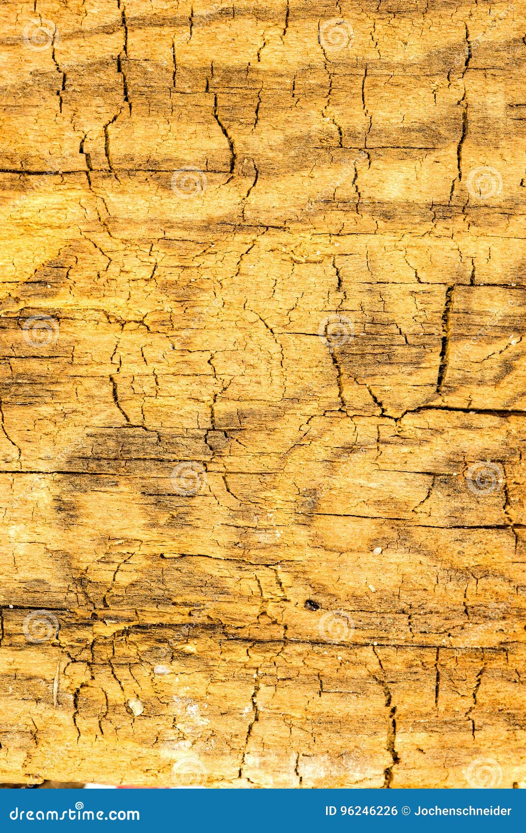 Old plank with texture stock photo. Image of rough, wooden - 96246226