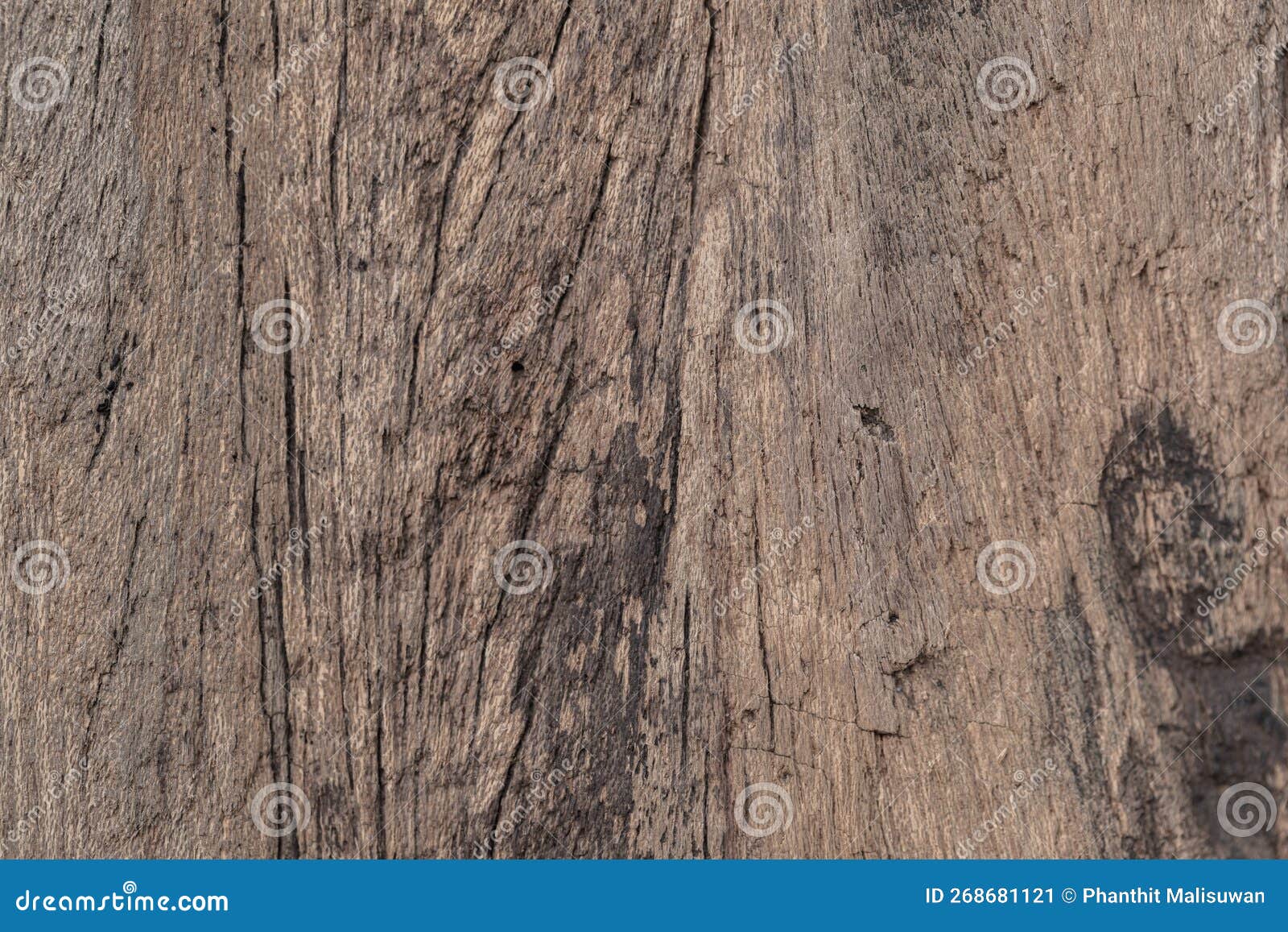 Old Plank Wood Texture Background Stock Image - Image of knotted ...