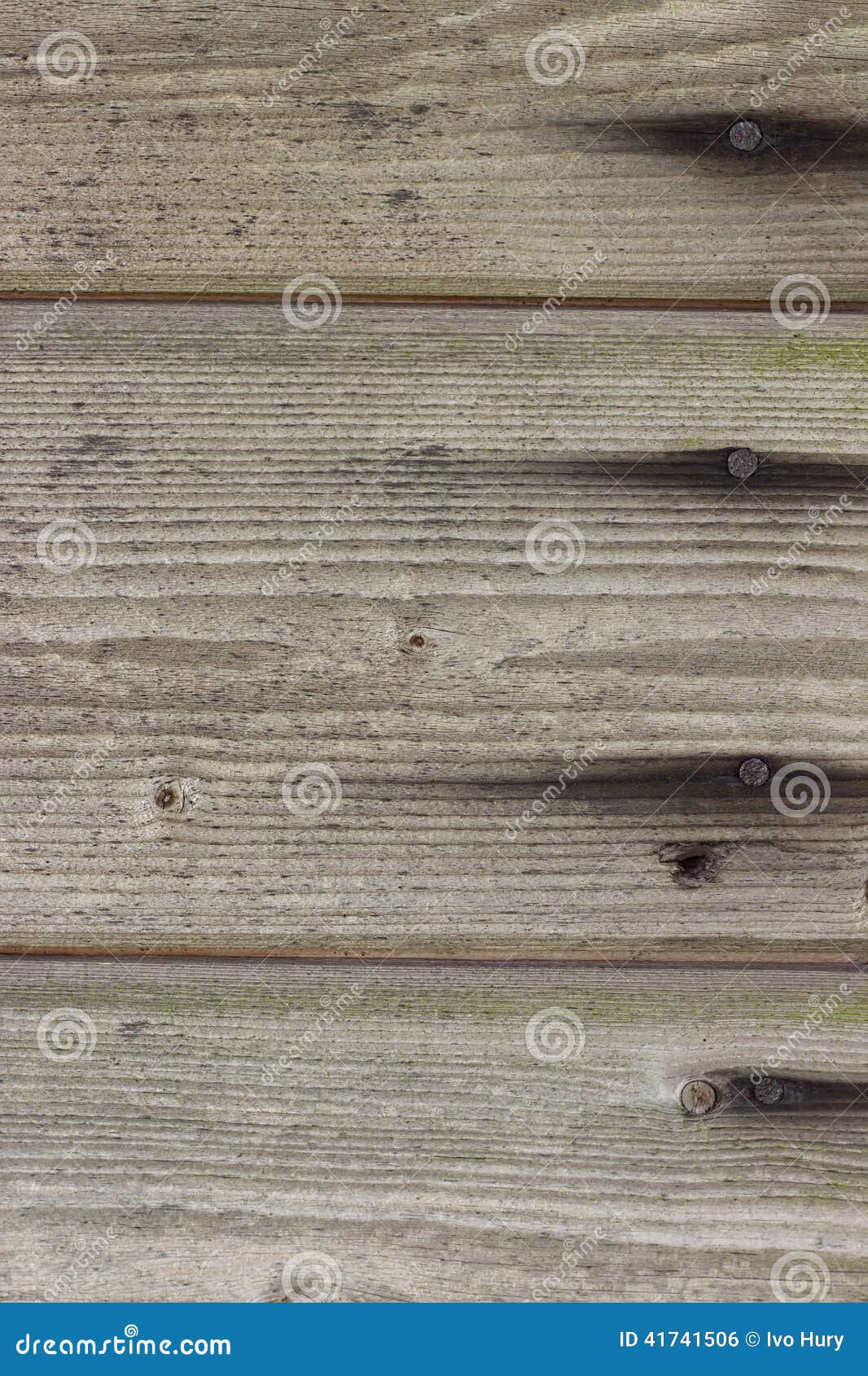 The old planks with nails stock photo. Image of wood - 41741506