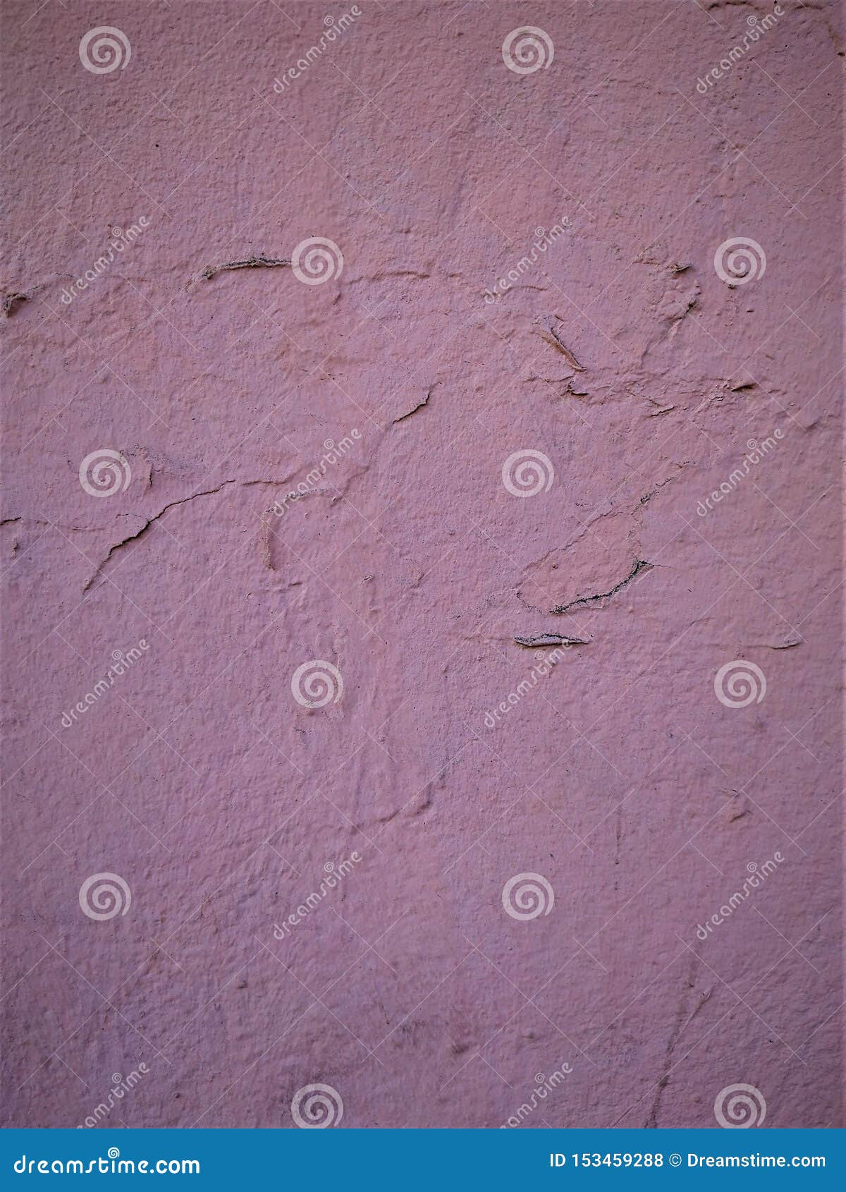 Old Plaster on the Wall, Dark Pink. the Coating is Uneven, with Surges ...