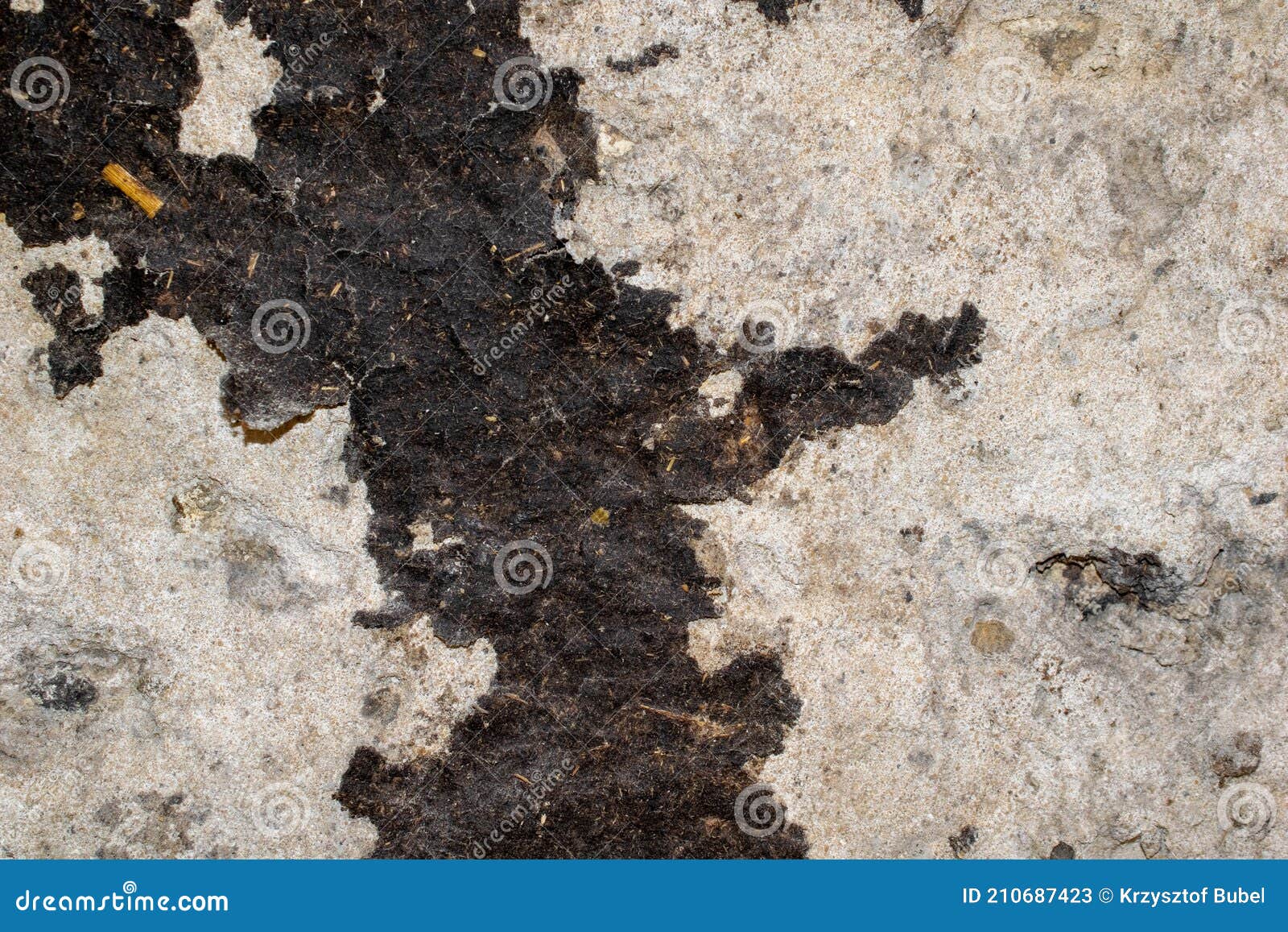 Old Plaster on the Wall with Visible Details Stock Image - Image of ...