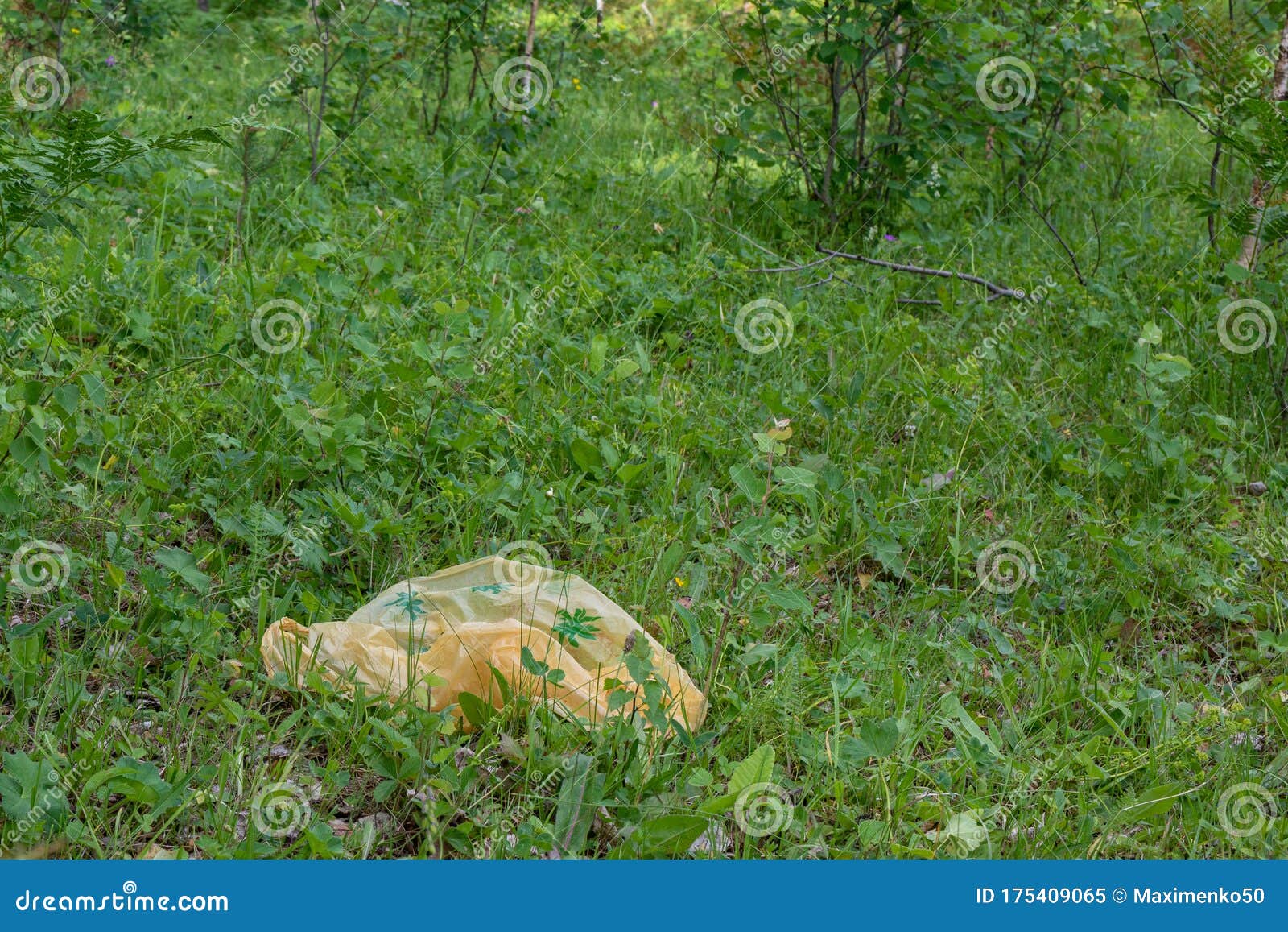 Old Plastic Bag, Trash Thrown on Grass. Clean Planet Earth, Collect ...
