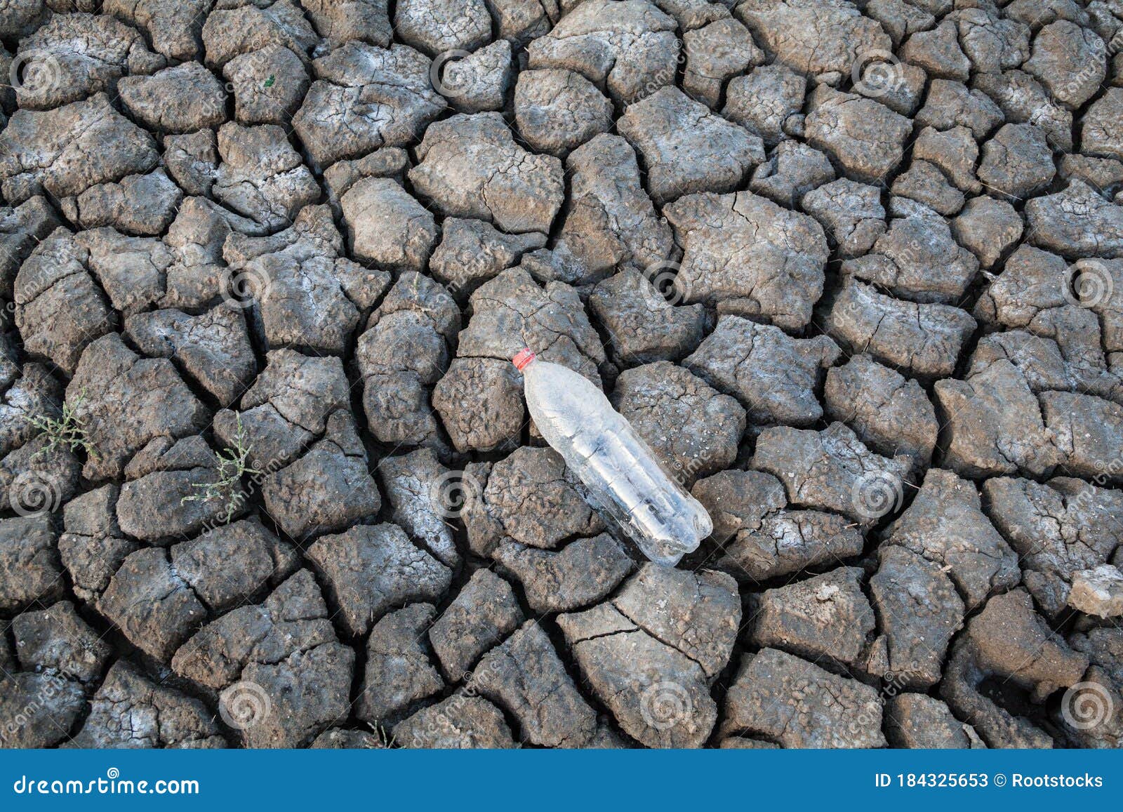 Old Plastic Bottle on the Ground Stock Image - Image of object, litter ...