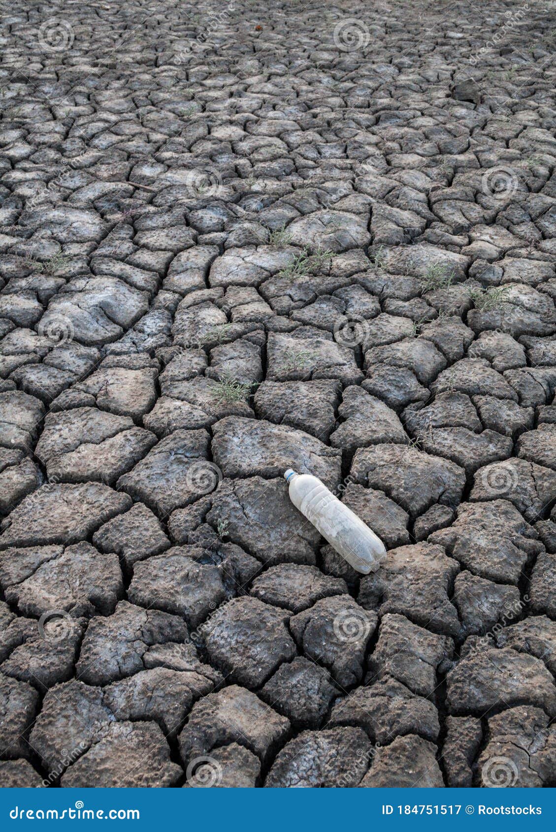 Old Plastic Bottle on the Ground Stock Image - Image of junk, garbage ...