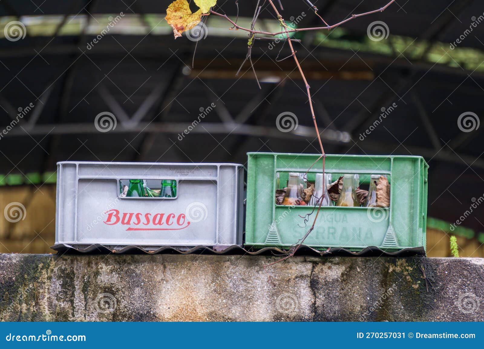 Old Plastic Crates with Empty Glass Bottles Editorial Photo - Image of ...
